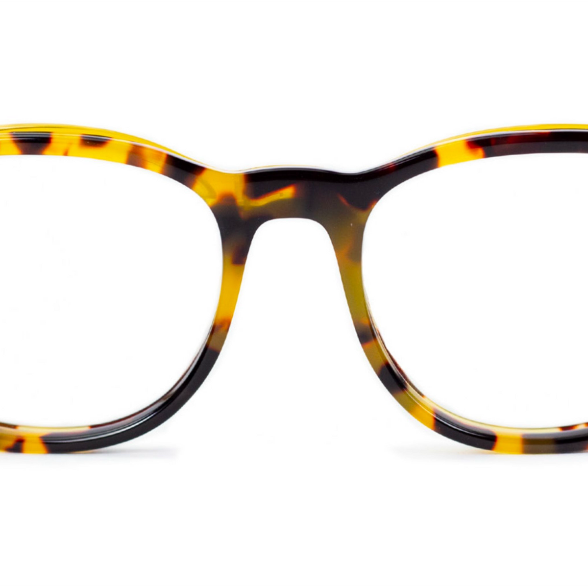 Milo Glasses – FETCH Eyewear