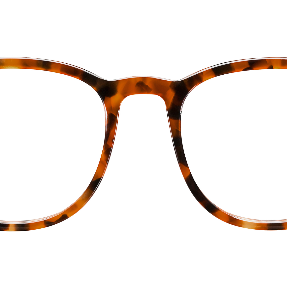 Milo Glasses – FETCH Eyewear